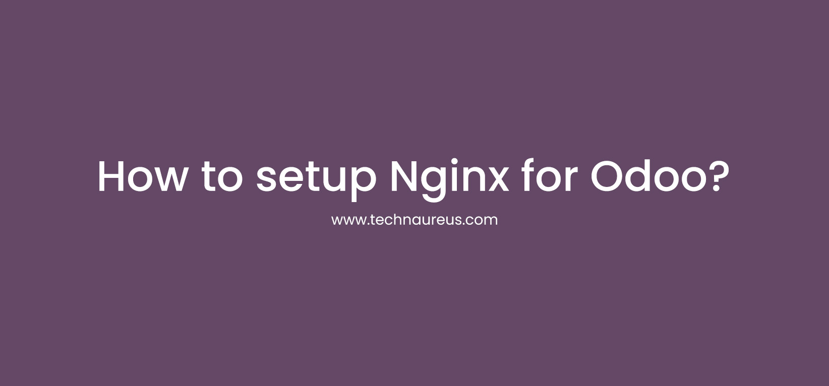 How To Install Or Setup Nginx For Odoo Nginx For Odo Technaureus